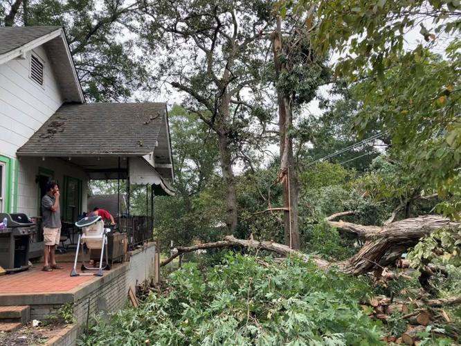 Hurricane Helene turned Greenville's trees into weapons