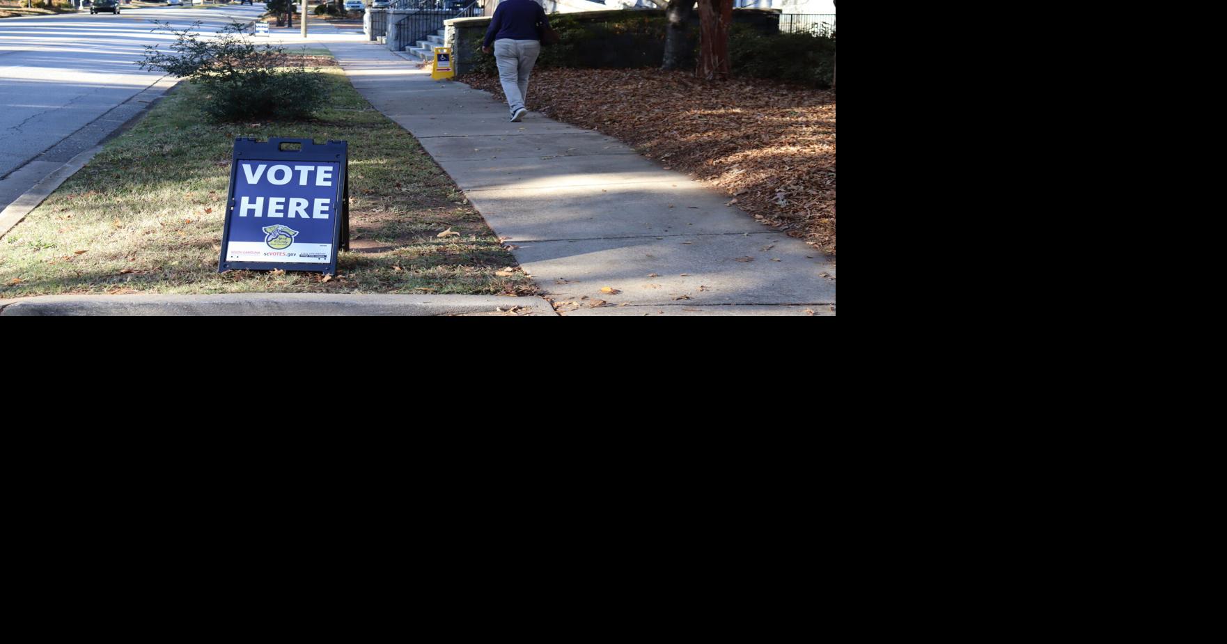 York County voters favor incumbents in Council, House races
