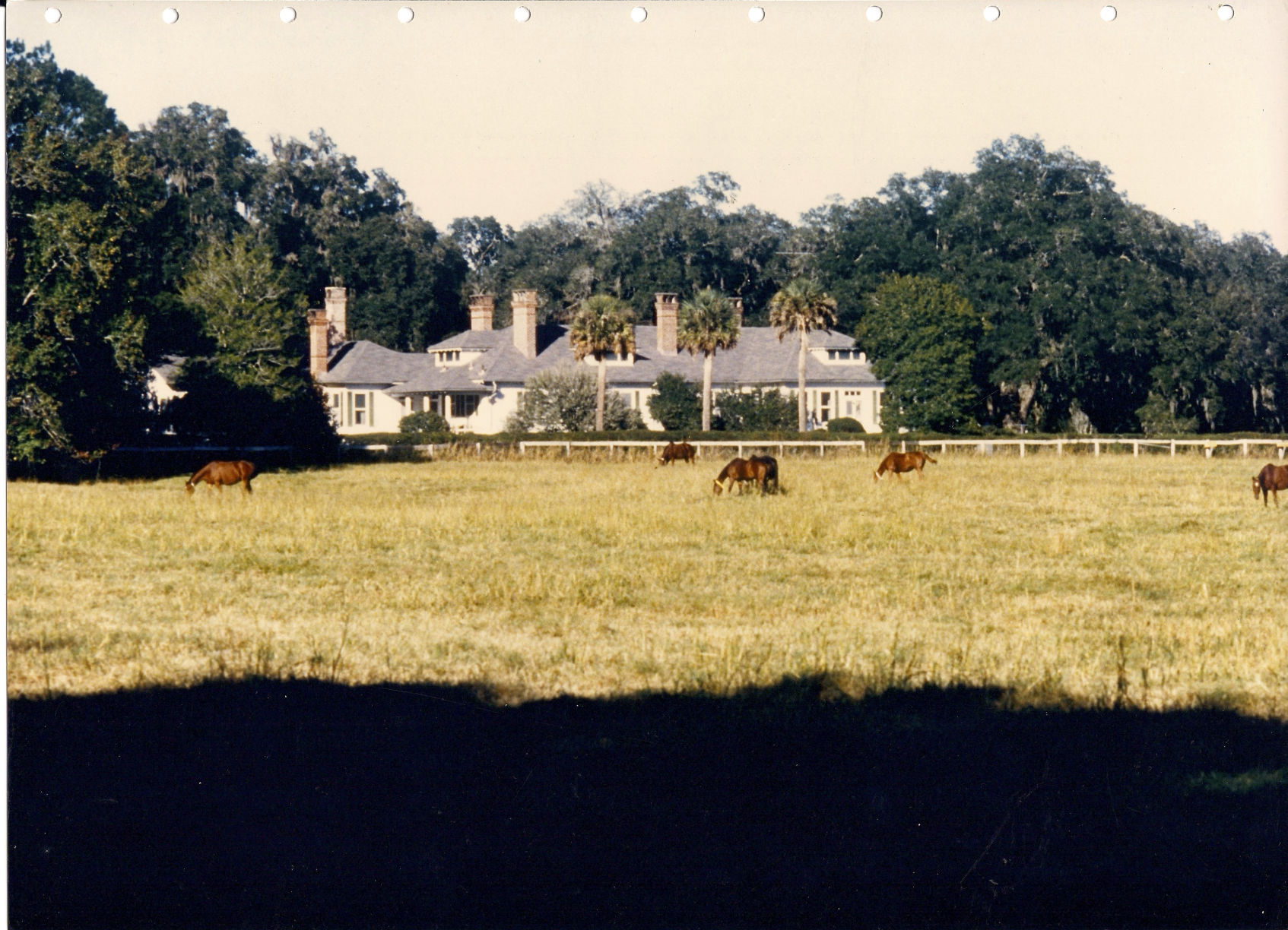 Former SC rice plantation south of Charleston fetches $7.9 million