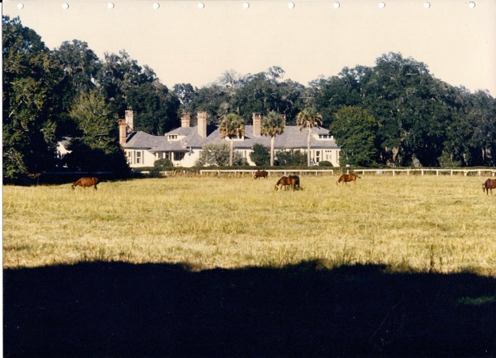 Former SC rice plantation south of Charleston fetches $7.9 million