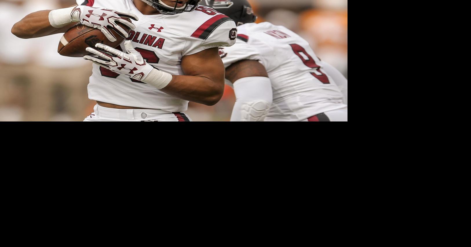 Gamecocks' Chad Terrell finds end zone in spring game, gives USC ...