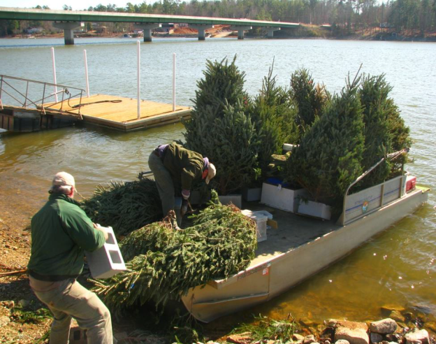SCDNR collects discarded Christmas trees to build artificial reefs and ...