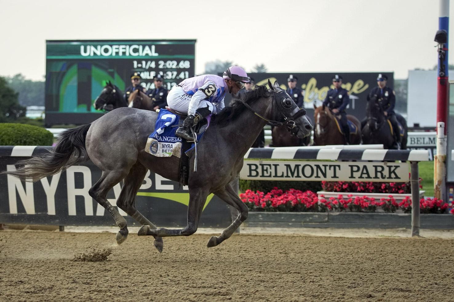 Cody’s Wish named Horse of the Year at Eclipse Awards