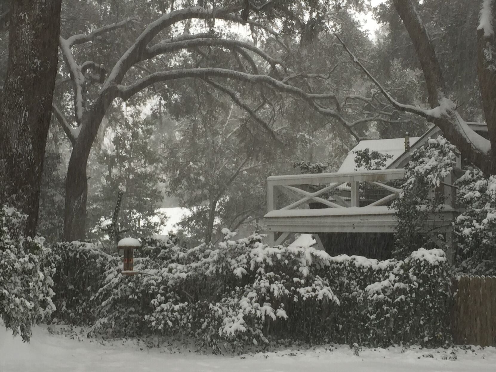 Will it snow in the Lowcountry on Tuesday, Jan. 21?