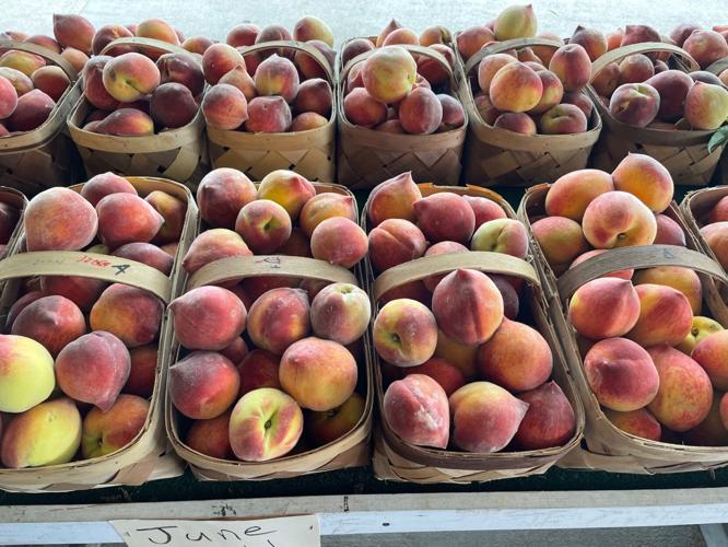 Upstate peach farmers' outlook for 2025 season is bright