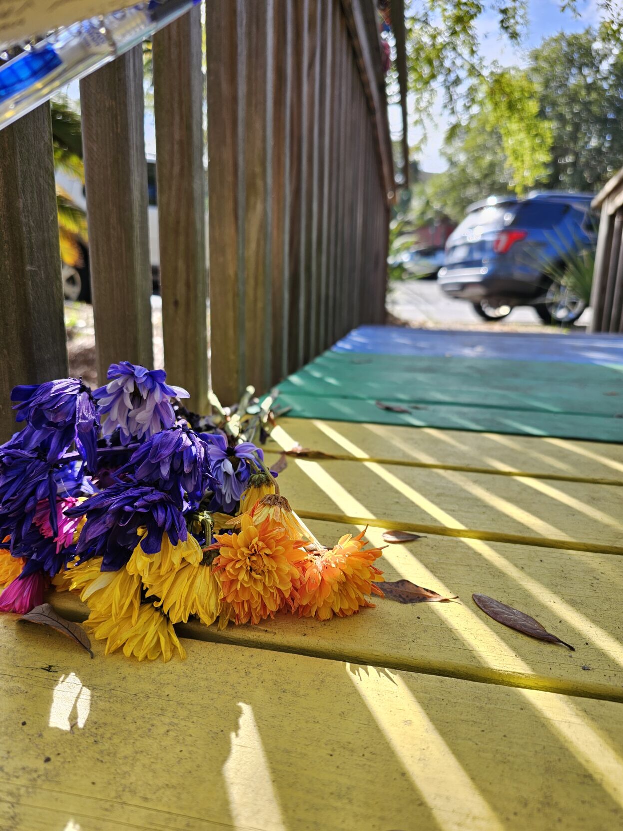 Folly Beach's Rainbow Bridge a place to grieve, honor pets