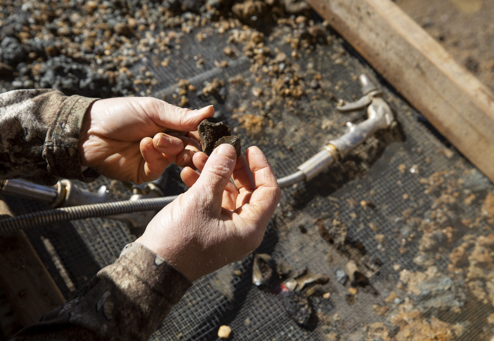 Lowcountry fossil collectors bring paleontology to people | SC Climate ...
