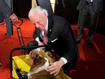 Henry McMaster spends time with 'show stealing' dog