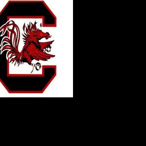 After rocky start to senior season, South Carolina pitcher Colby Holmes ...