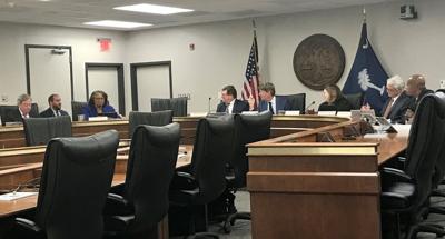 Public hearings on redrawing SC Senate voting lines begin in Columbia ...