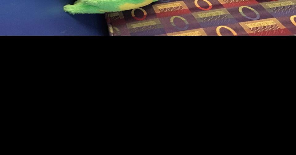 Kids Teeth offers free dental health puppet show | News ...