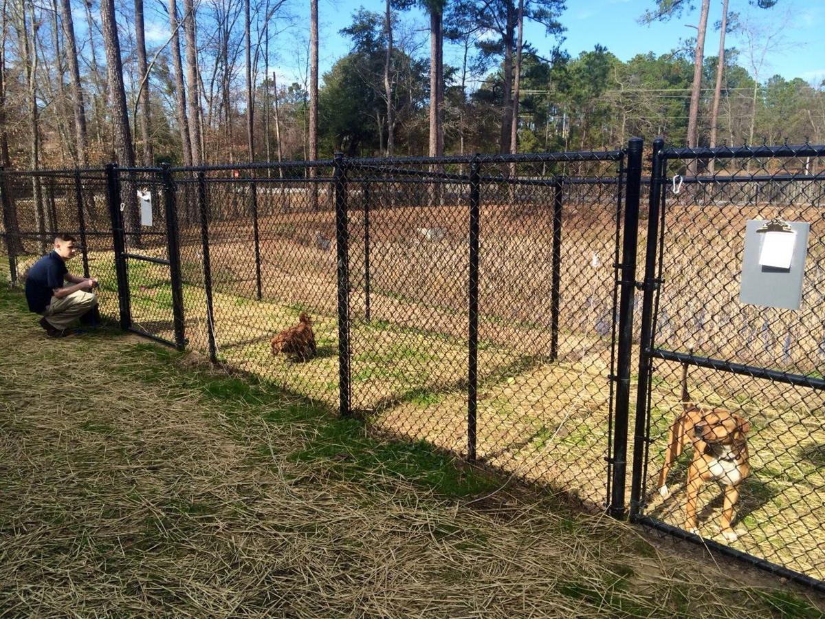 Aiken County Animal Shelter seeing improvements, plans to build ...