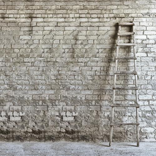 Ask Yourself: Ladder of Prejudice | News | postandcourier.com