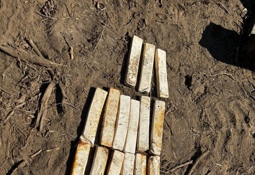 C4 found at site in Cedar Terrace area in Columbia SC
