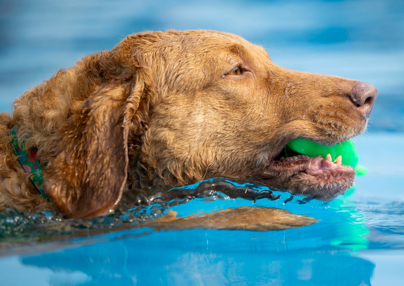 SEWE 2025 Calendar of Events