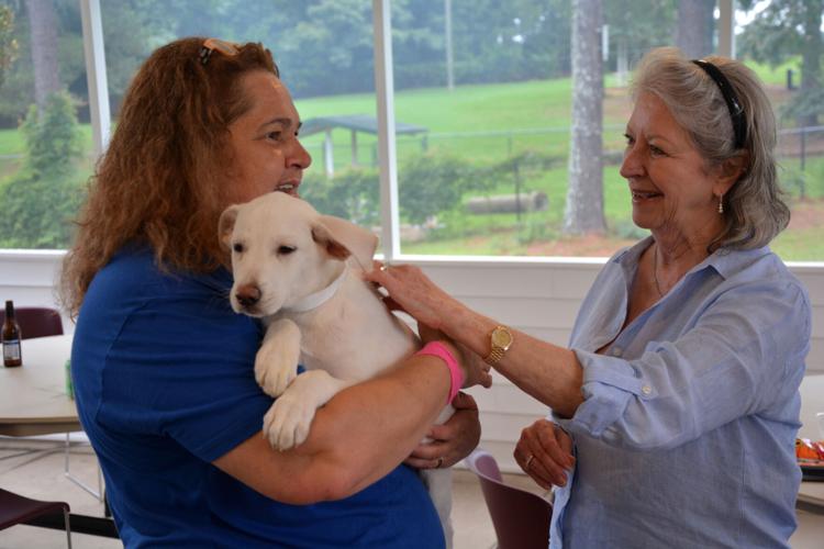 ANIMAL CONNECTION: SPCA Albrecht Center to offer several events for ...