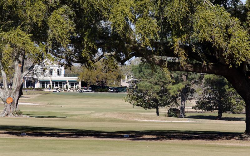 Roaming Wappoo Cut beaver makes mess of tree at Country Club of ...