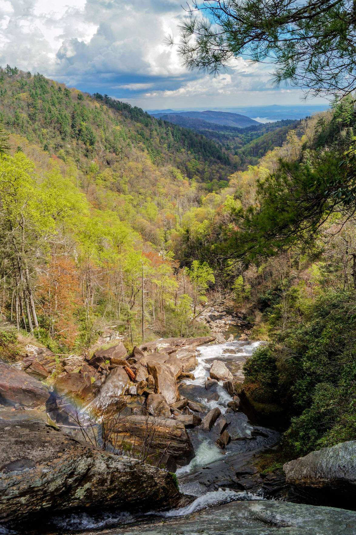 Seven Wonders of South Carolina | News | postandcourier.com