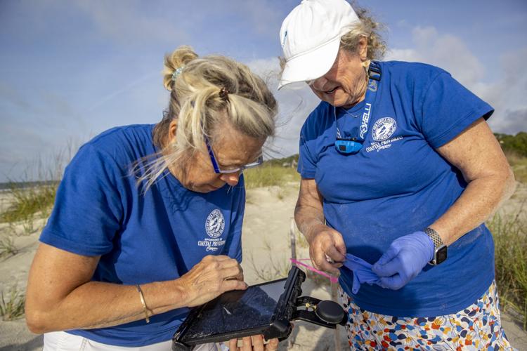 Photos: Sea Turtle Patrol on Hilton Head Island | Photos from The Post ...
