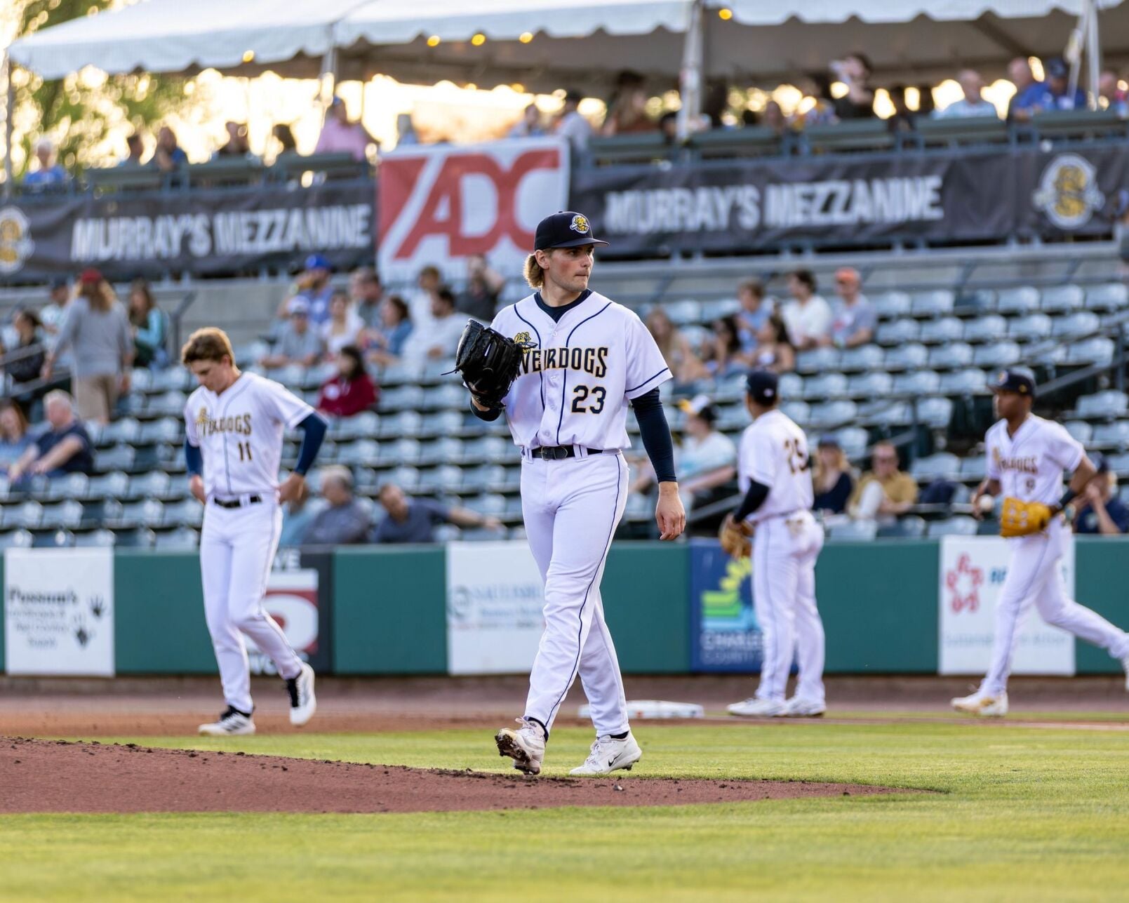 Charleston RiverDogs roar back to defeat Columbia Fireflies
