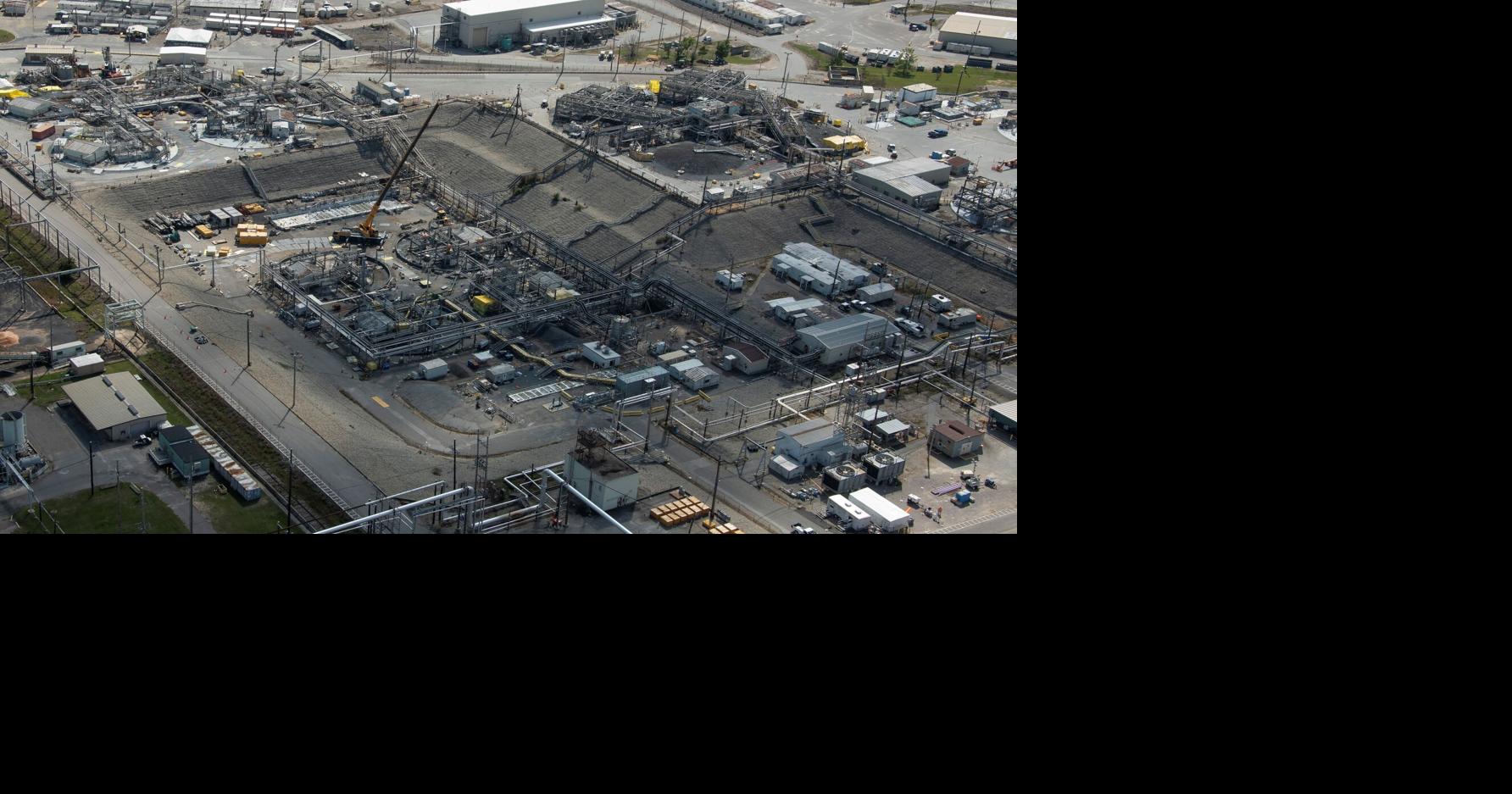 Potential fallout from radioactive wasp nests found at SC?