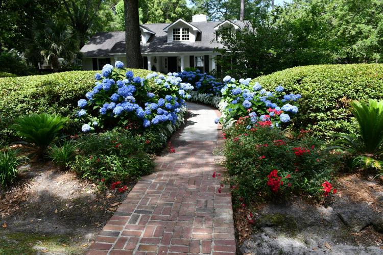 Flowertown in full bloom