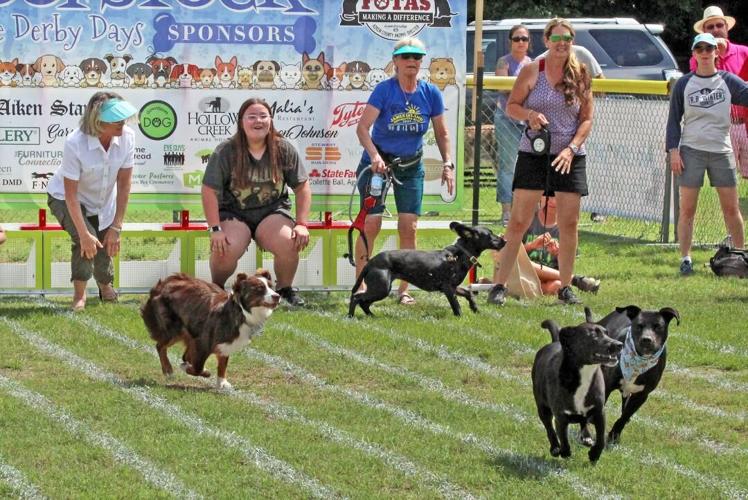 Fun event for a good cause: Woofstock Festival & Doggie Derby Days 2023