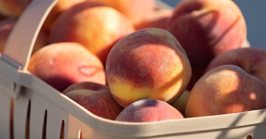 South Carolina Peach Festival returns to Cherokee County