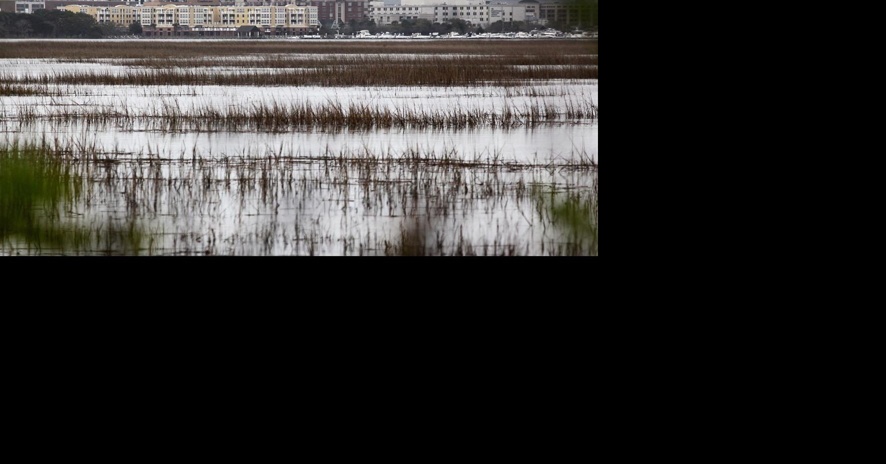 Can we stop rising sea levels in time?