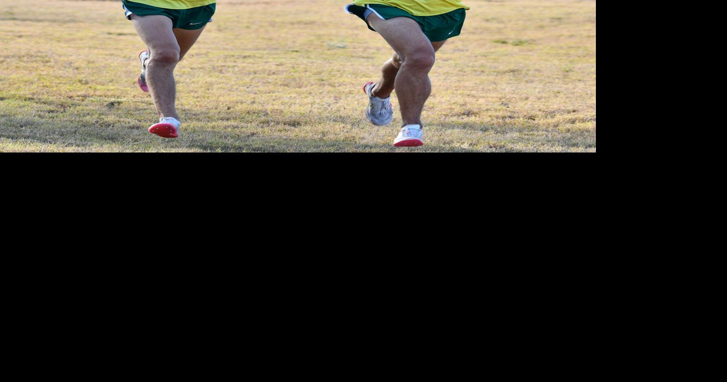 Hornets sweep region cross country titles again