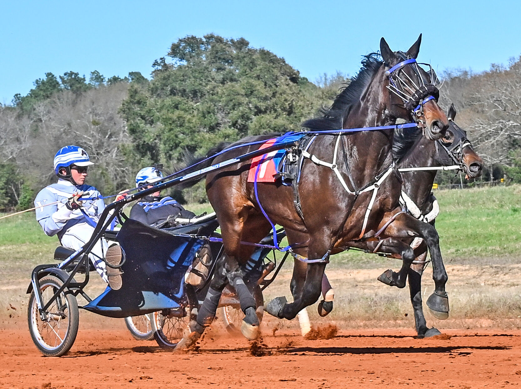 McGhees' Mile Harness Race set to return March 7 in Aiken
