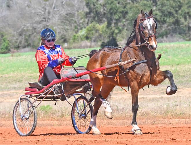 Column: S.C.'s Thoroughbred Country is a legacy worth preserving