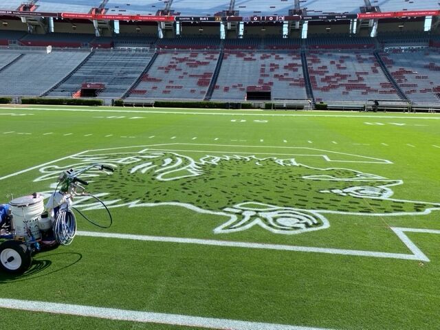 Gamecocks' midfield logo has special meaning in 2024