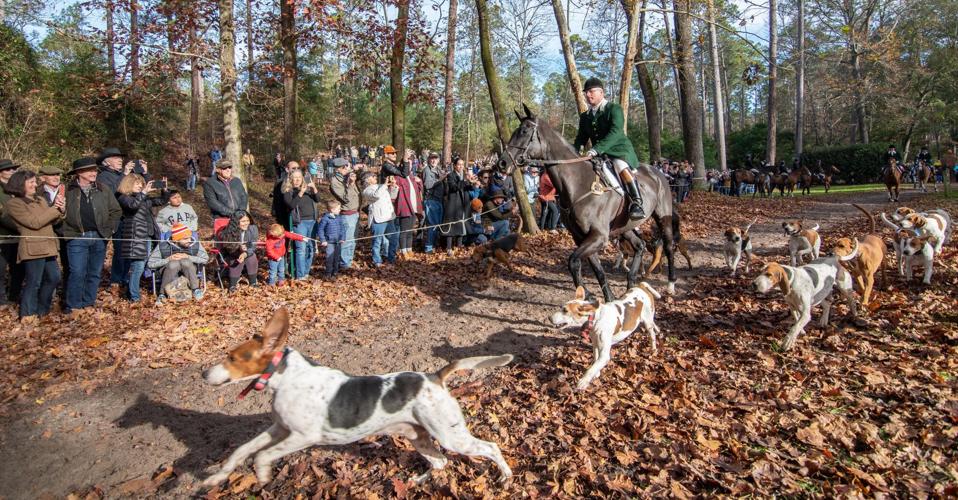 Blessing of the Hounds returning to Aiken's Hitchcock Woods