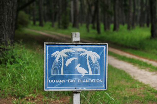 Botany Bay Plantation