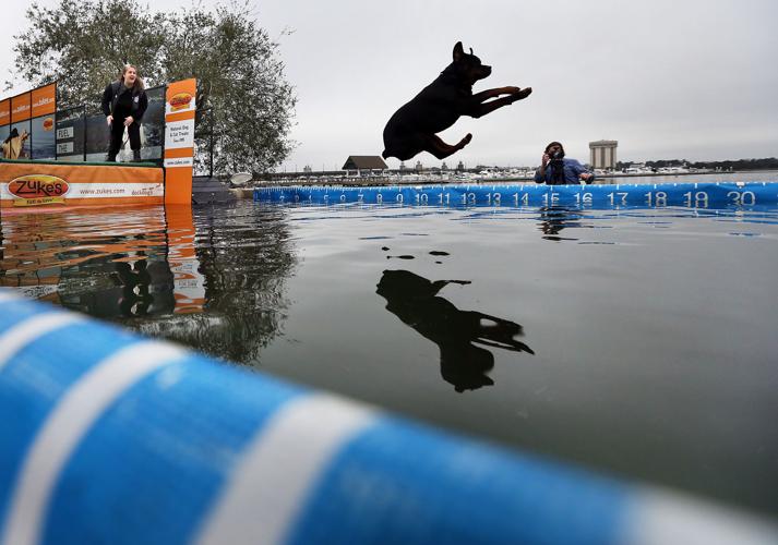 SEWE event schedule | Southeastern Wildlife Expo | postandcourier.com