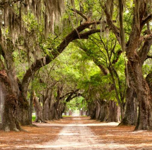 $30M paid for SC plantation once owned by captains of industry
