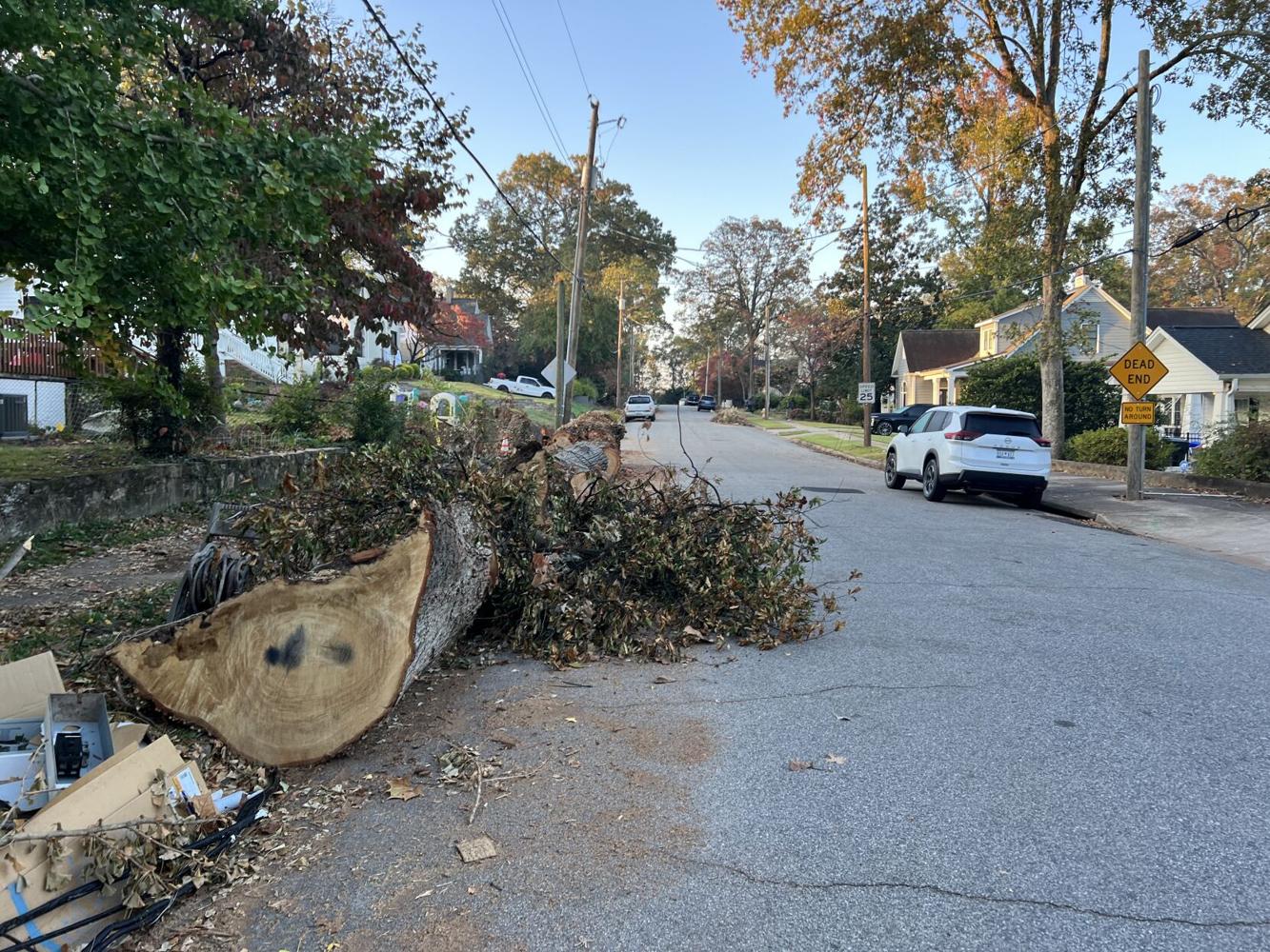Greenville's weighs Helene's wrath on its iconic tree canopy