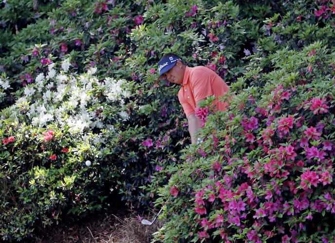 Azaleas at Augusta National Golf Club