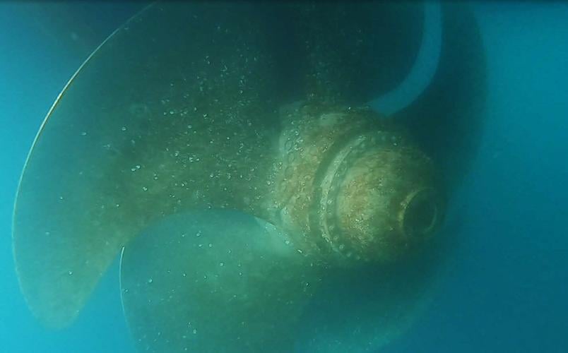 Charleston-based Cutter James damaged after Galapagos photo