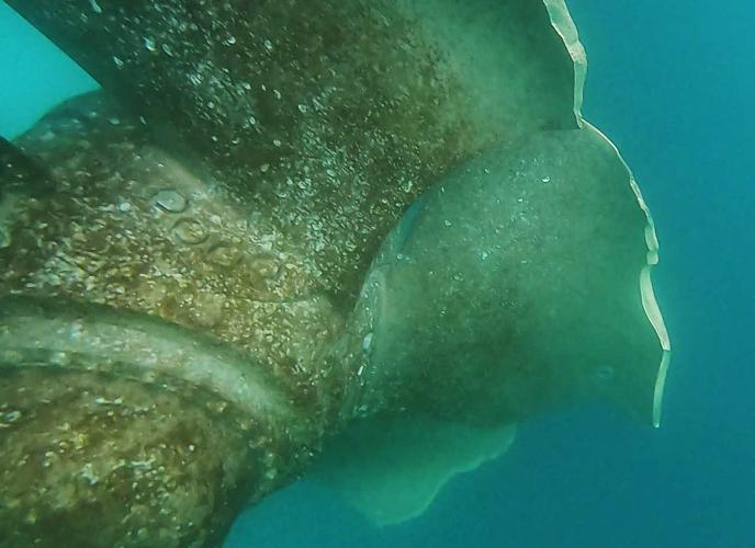 Charleston-based Cutter James damaged after Galapagos photo