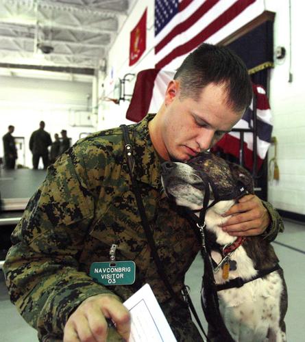 Balanced-budget bill fails | Palmetto Politics | postandcourier.com