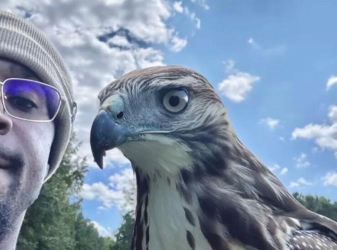 Clemson football alum finds falconry with hawk named Draven