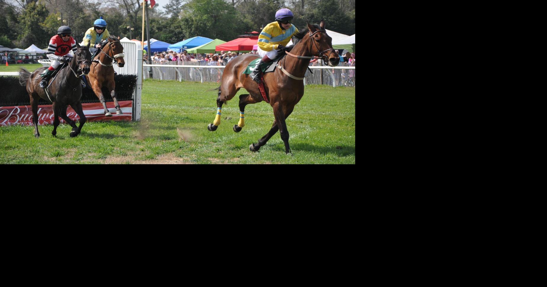 Ticket packages available now for 27th Aiken Fall Steeplechase this ...