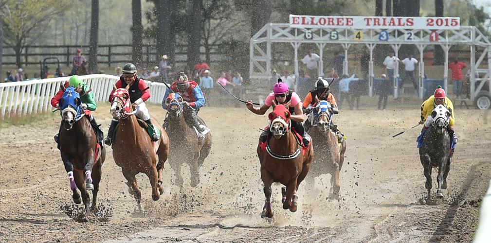 SC horse industry needs help. Is legalizing gambling the right bet?