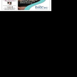 Page A7 | Aiken Standard ePaper