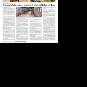 Page A12 | Free Times E-Edition or E-Paper