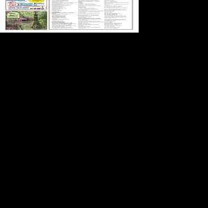 Page A10 | The Journal Scene E-Paper