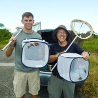 Guam butterflies attract scientists | Local News | postguam.com