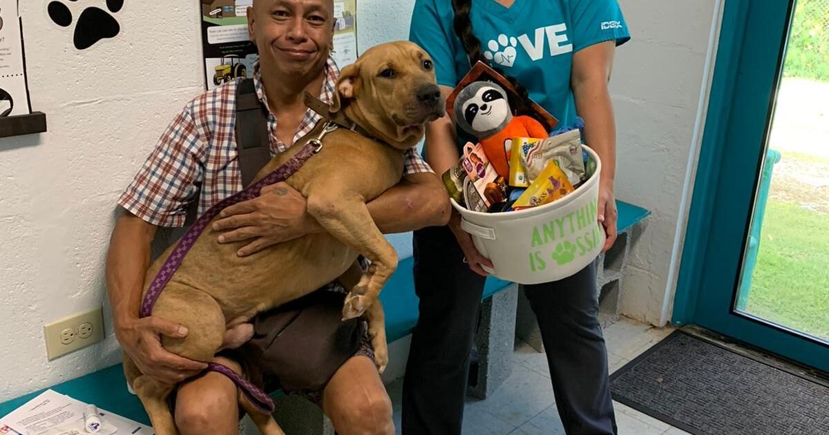 GAIN SNIP clinic completes 1K surgeries | Local News | postguam.com